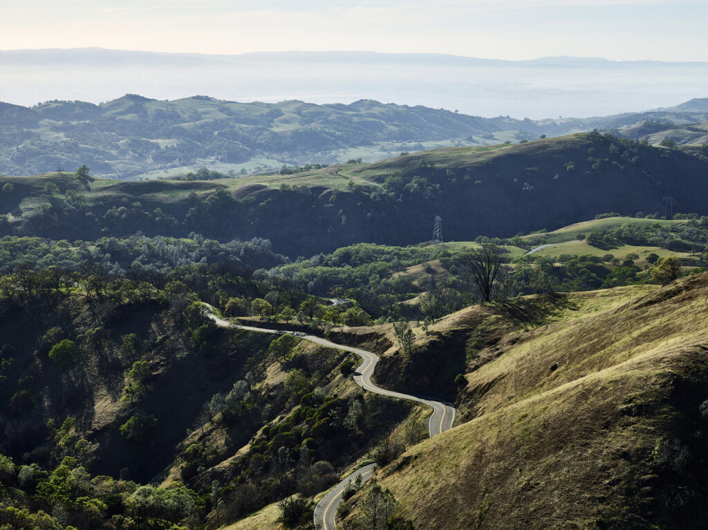 MT Hamilton_02 - Michael Blann PhotographyMichael Blann Photography